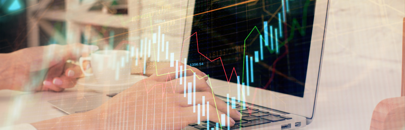 Guide to the trading system